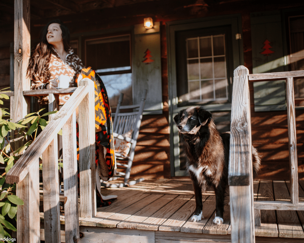 Pet Friendly - Mountain Springs Cabins